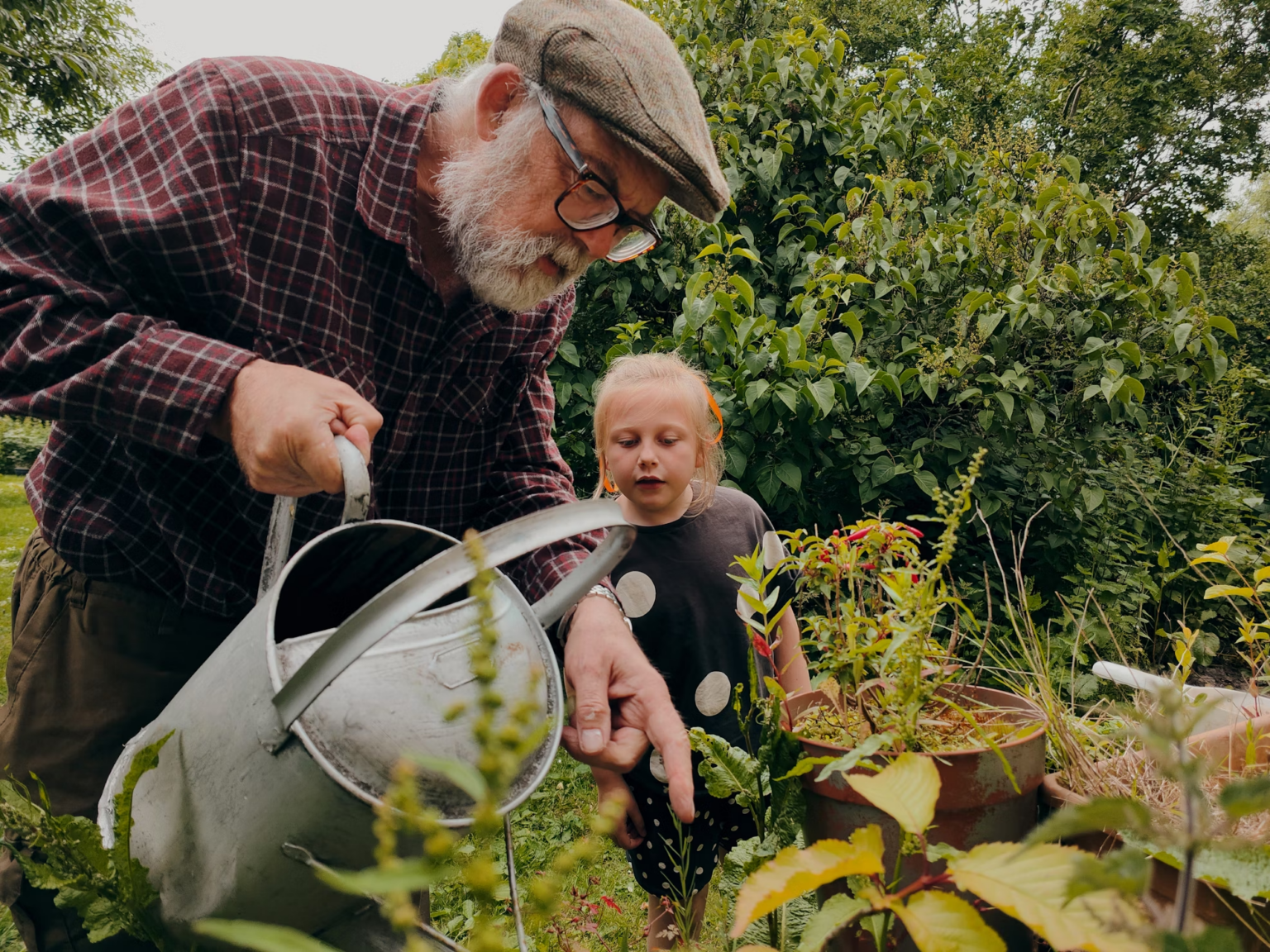 Gardening and Saving the Environment: Cultivating a Greener Future ...