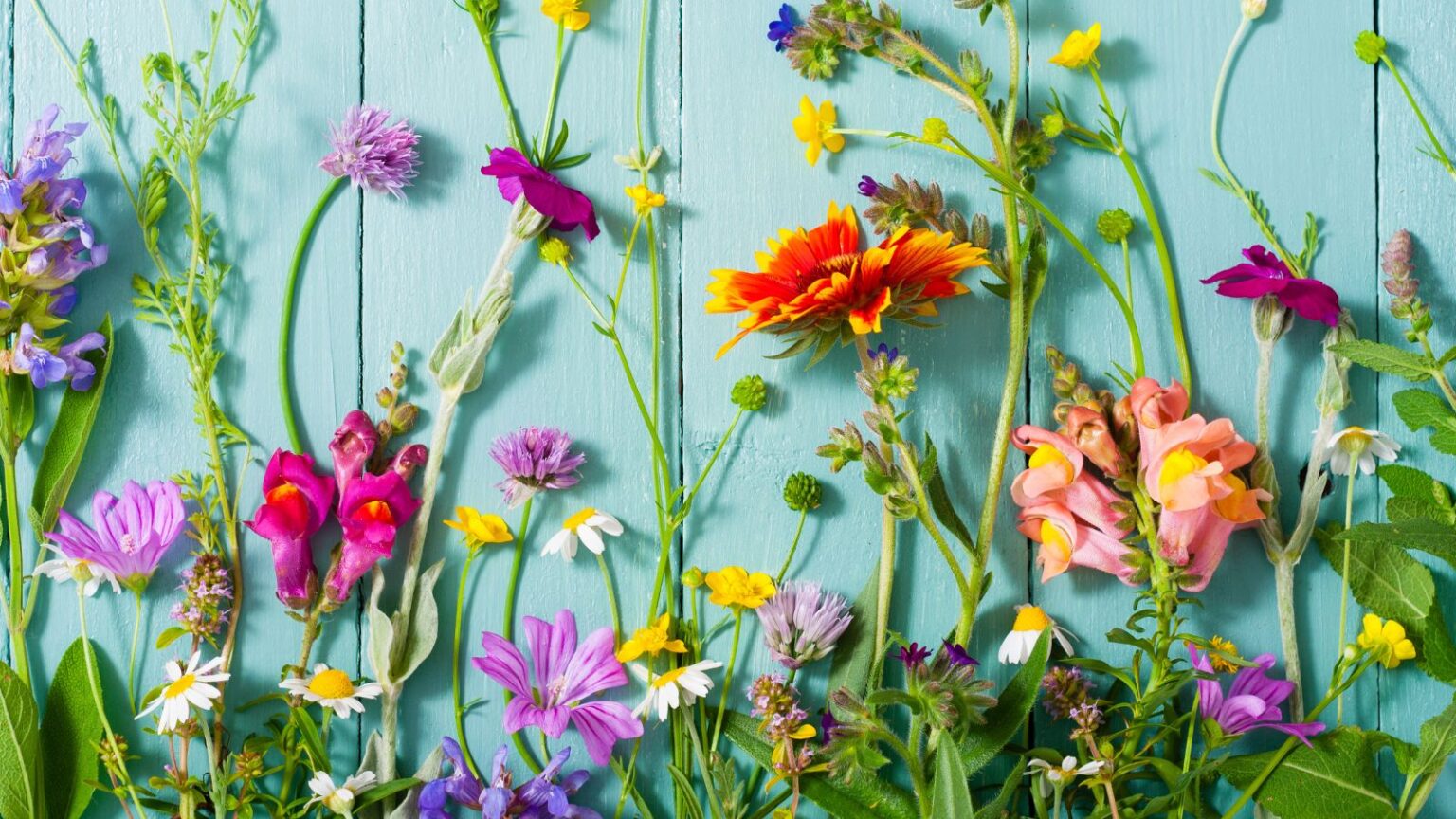Eco Friendly Flowers: Sustainable Floristry for a Greener Future ...
