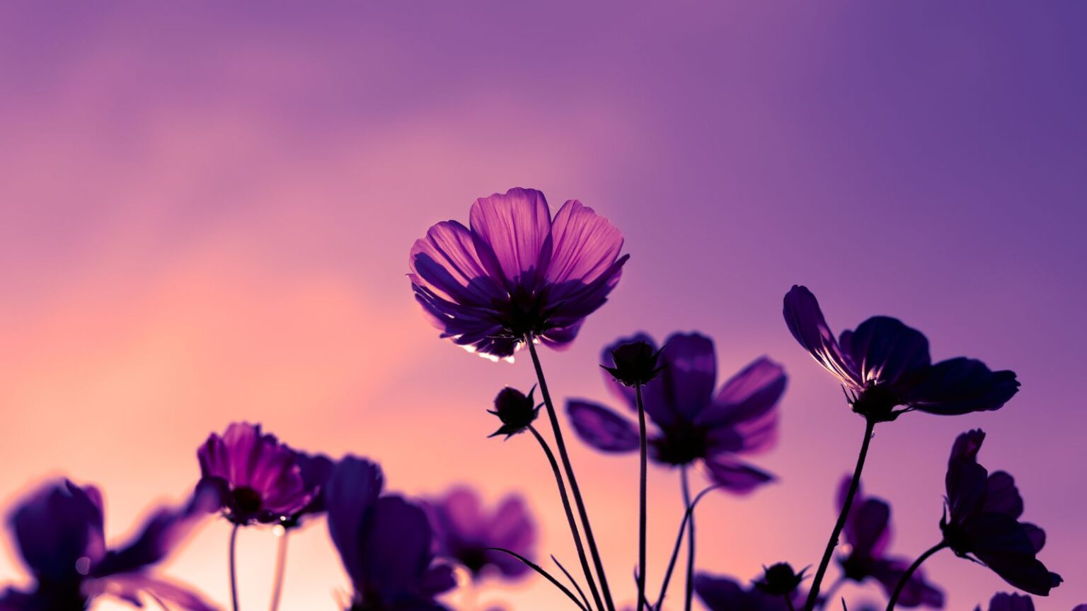 Eco Friendly Flowers: Sustainable Floristry for a Greener Future ...