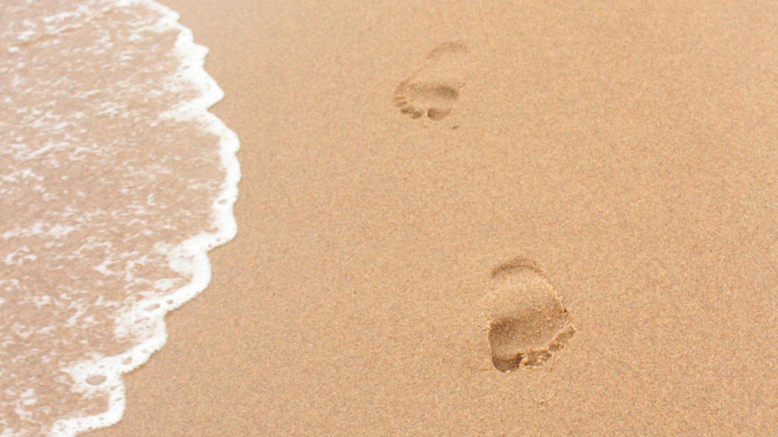 How Digital Payments and Remote Services Are Changing Environmental ...